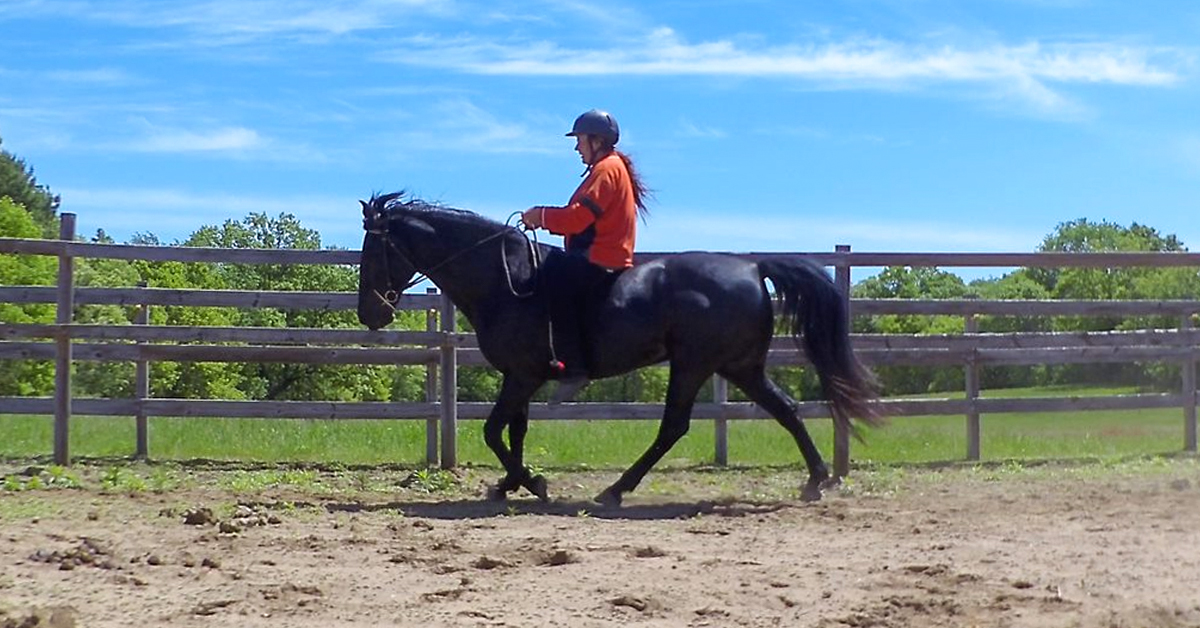 Six Ways Dressage Benefits the Naturally Gaited Horse - Naturally ...