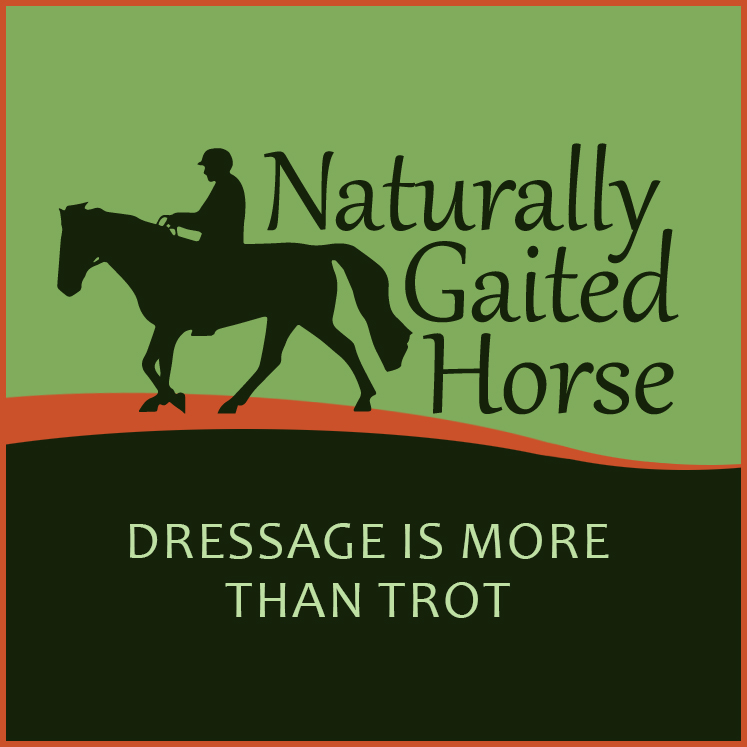 Blog - Naturally Gaited Horse